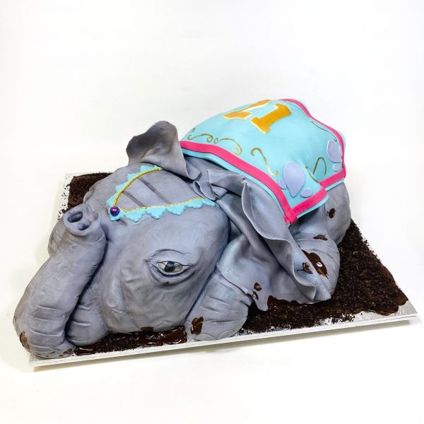 Celebration Cakes | Coast Cakes | Whangaparaoa