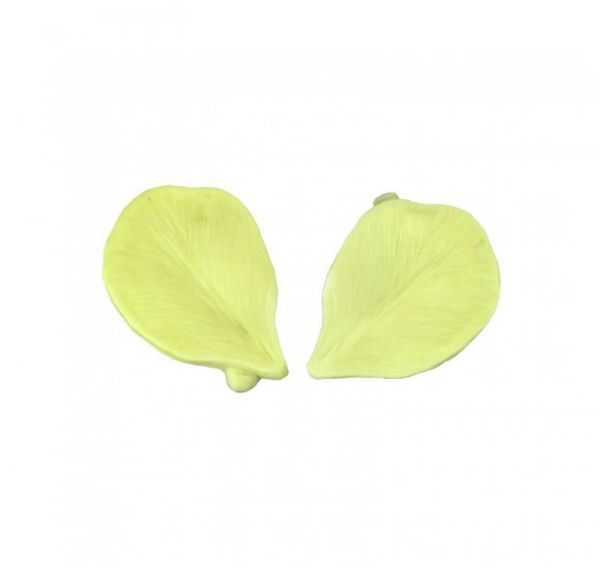 Shop Standard Tulip Veiner | Loyal | Coast Cakes